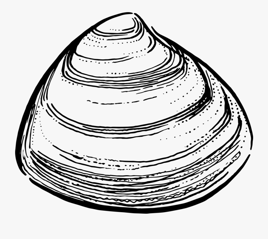 Storm Clam - Clam Black And White Png , Free Transparent Clipart ...