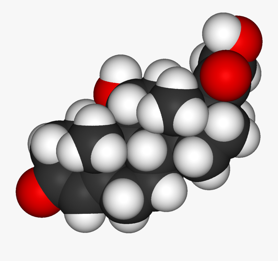Cortisol 3d - Stress Hormones Clipart Free , Free Transparent Clipart ...