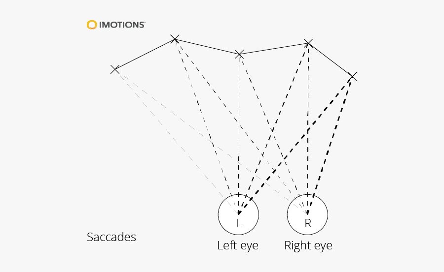 Saccadic Eye Movements , Free Transparent Clipart - ClipartKey