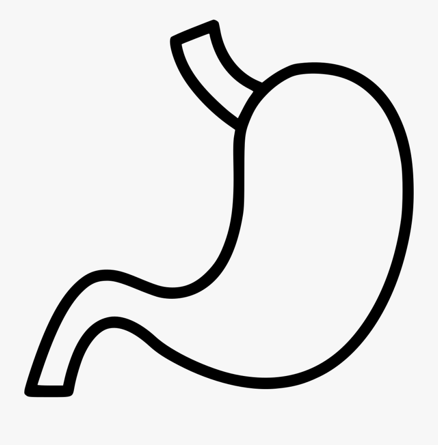 Stomach - Stomach Icon Png White , Free Transparent Clipart - ClipartKey
