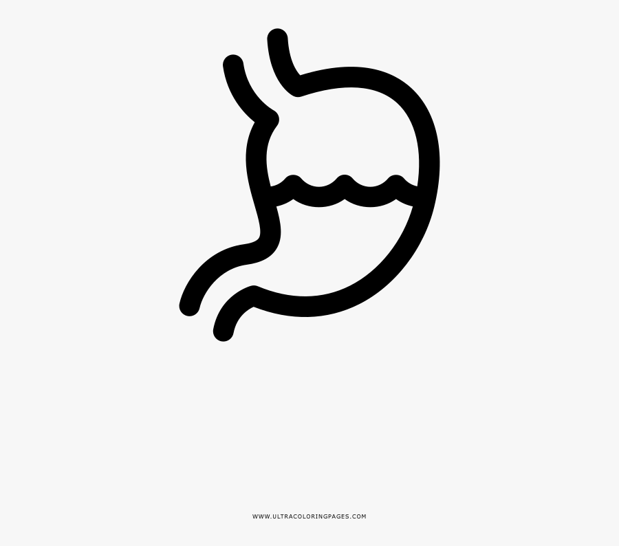 Stomach Coloring Page , Free Transparent Clipart - ClipartKey