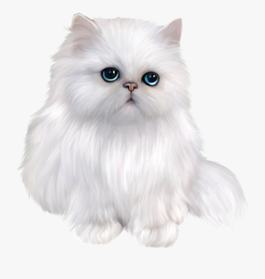 Cute White Cat Png , Free Transparent Clipart - ClipartKey