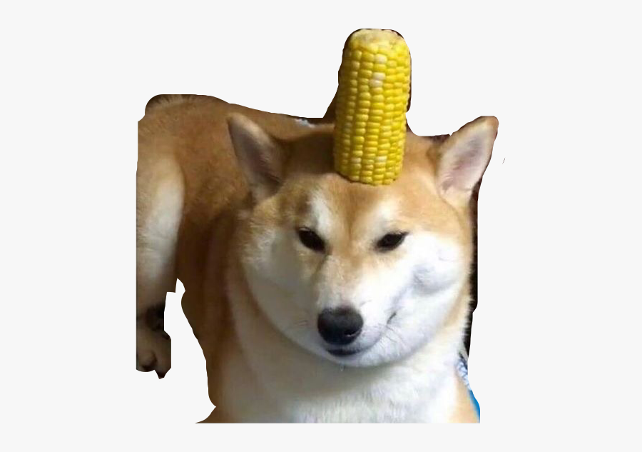 It’s A Corndog - Corn Doggo , Free Transparent Clipart - ClipartKey