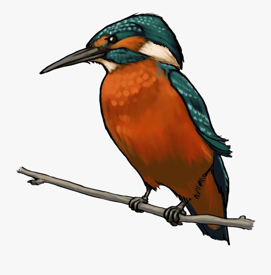 Transparent Background Bird Transparent , Free Transparent Clipart ...