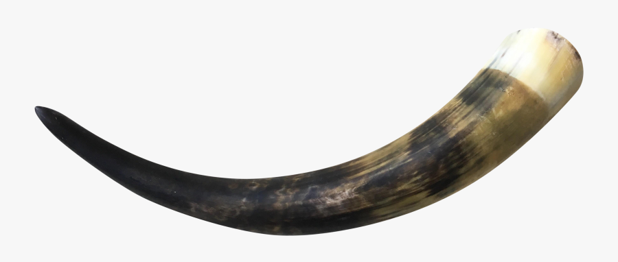 Transparent Bull Horn Clipart - Bull Horn Png , Free Transparent ...