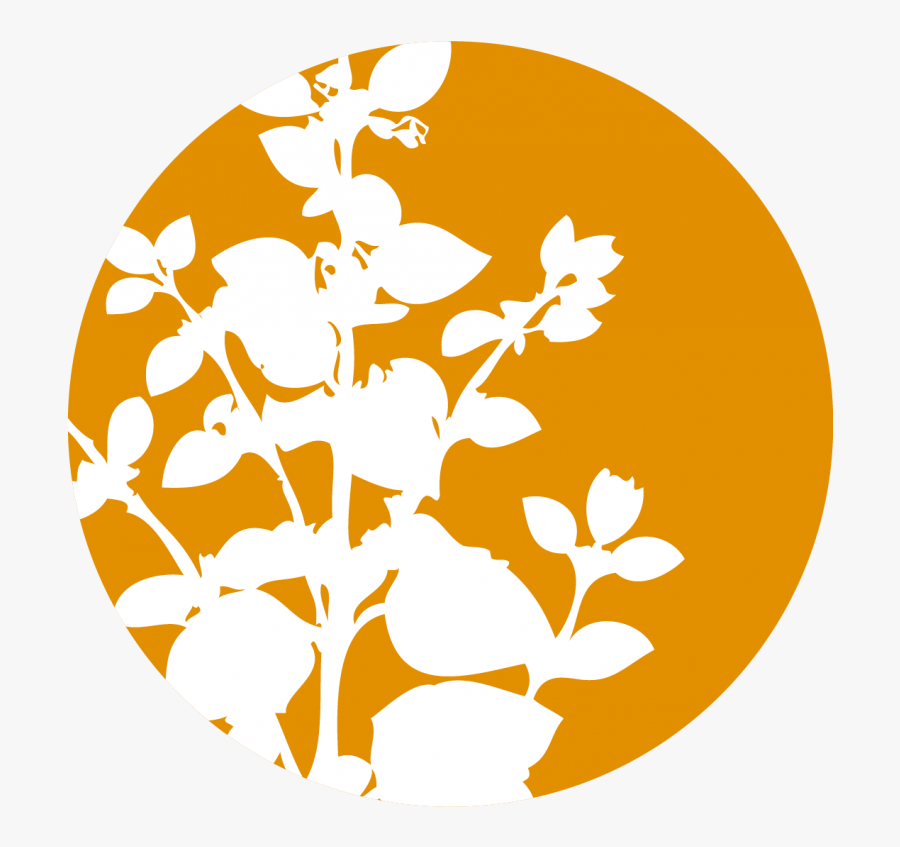 Transparent Tea Tree Png , Free Transparent Clipart - ClipartKey