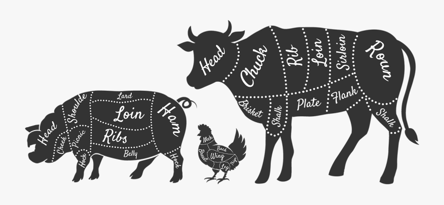 Beef Cuts Label - Pork Poster , Free Transparent Clipart - ClipartKey