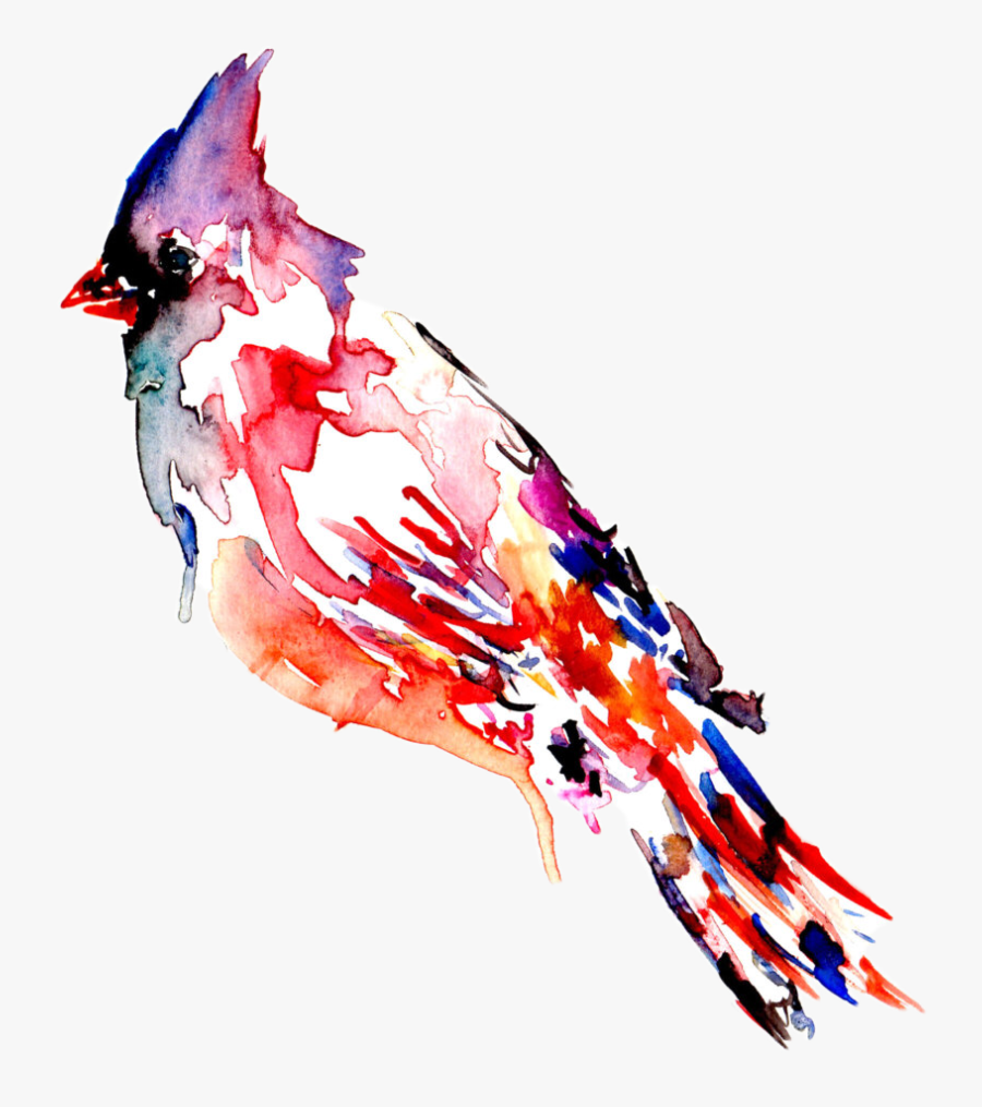 #cardinal #bird #art #birdart #rainbow #freetoedit - Cardinal In Water ...