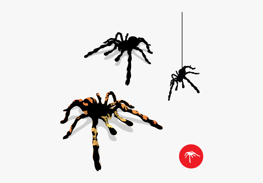 Spider Vector , Free Transparent Clipart - ClipartKey