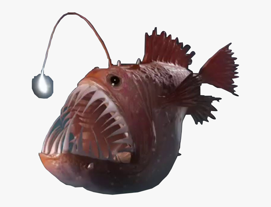Angler Fish Png 8 » Png Image - Deep Sea Angler Fish Transparent , Free ...