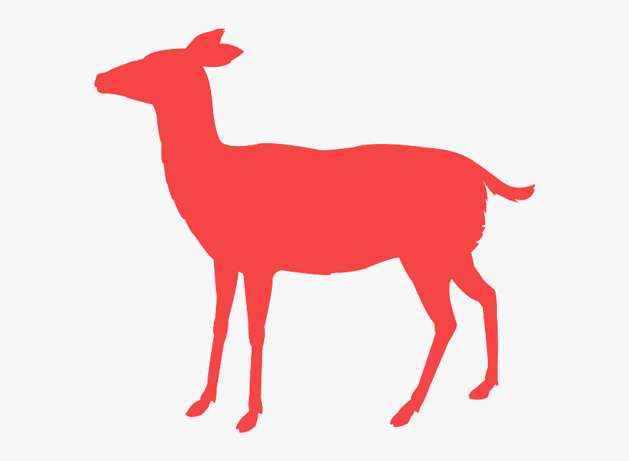 Doe Silhouette , Free Transparent Clipart - ClipartKey