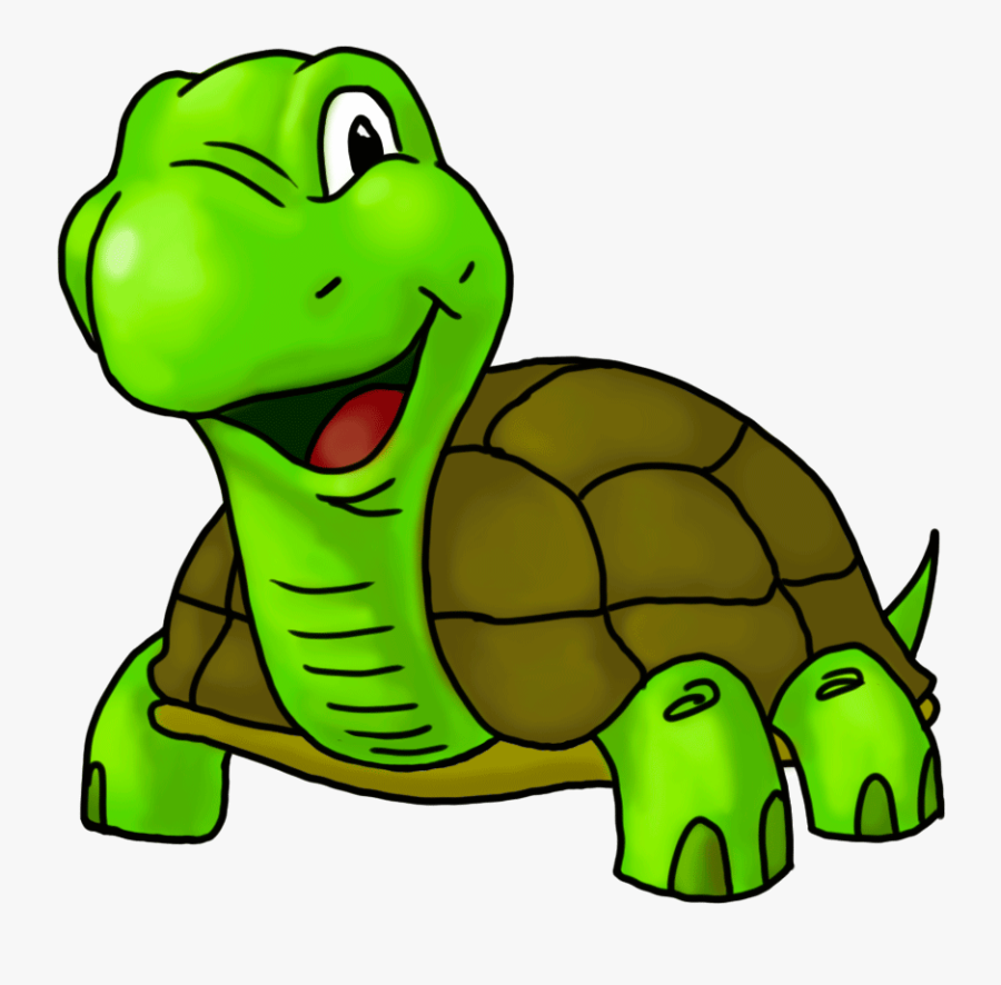 Turtle Clipart Face - Turtle Cartoon Png , Free Transparent Clipart ...