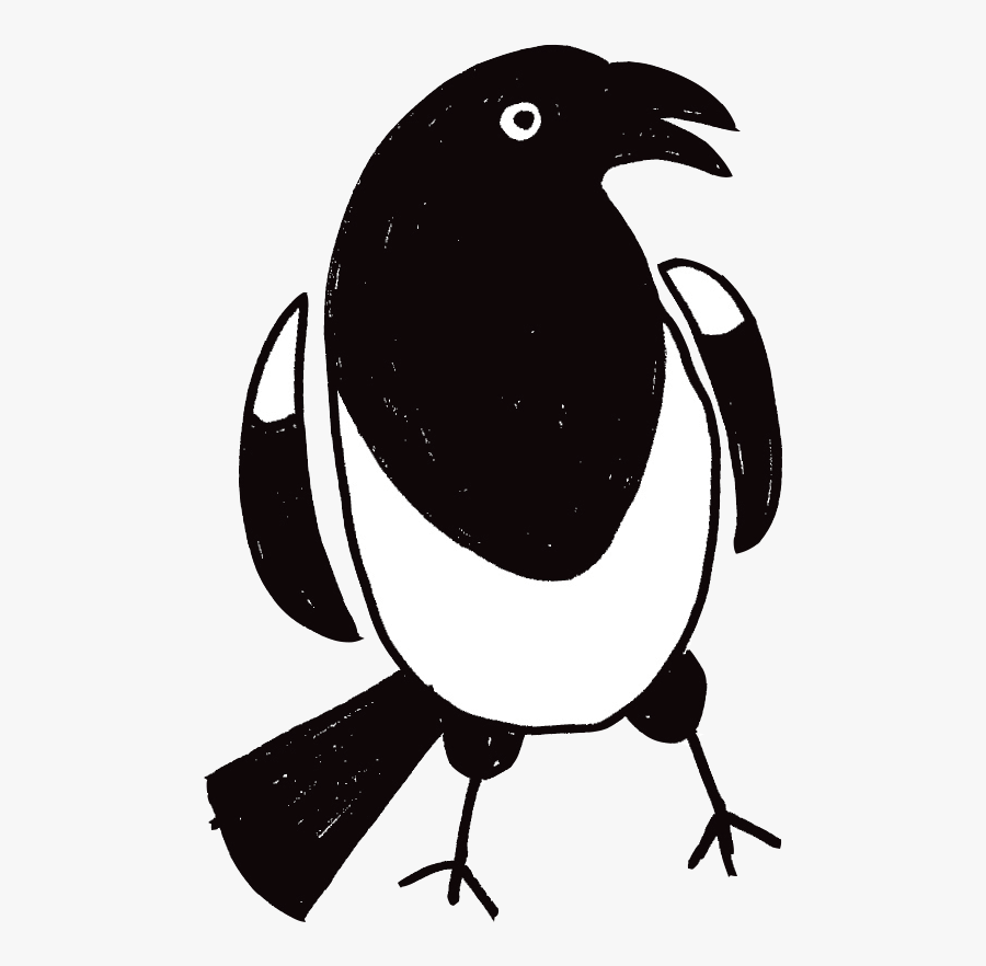 Talk For Writing Magpie , Free Transparent Clipart - ClipartKey