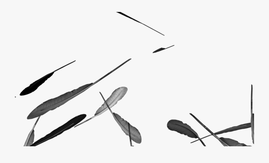 Collection Of Free Feather Drawing Falling Download - Illustration ...