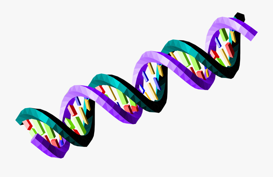 Text,font,graphic Design,clip Art - Dna Strand Transparent Background ...