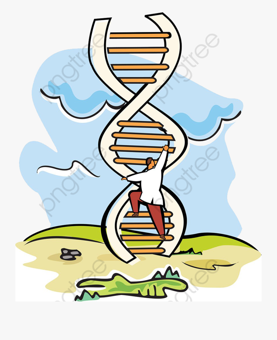 Scientific Experiments Dna Ladder - Escalera Del Adn , Free Transparent ...