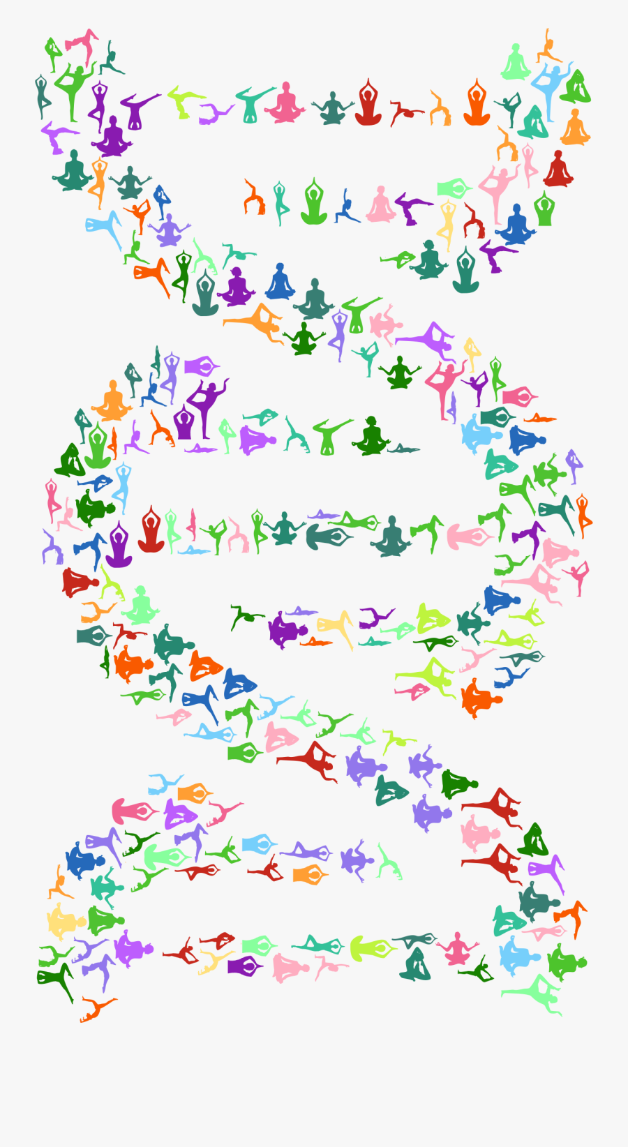 Transparent Border Design Png - Dna Art Black And White , Free ...