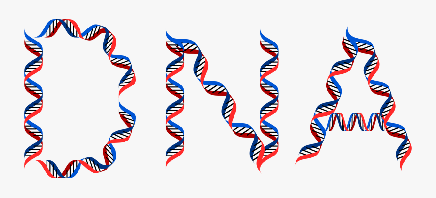Dna Typography - Dna Font , Free Transparent Clipart - ClipartKey