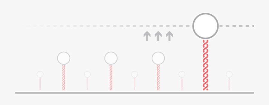 Dna Structure Clipart Blank - Circle , Free Transparent Clipart ...