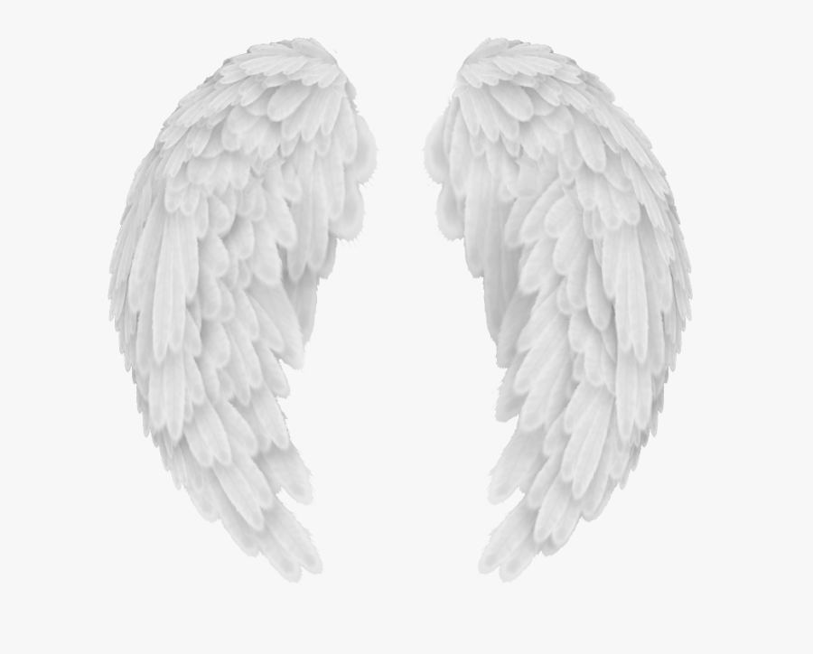 Angel Wings Scalable Vector Graphics Autocad Dxf Clip , Free ...