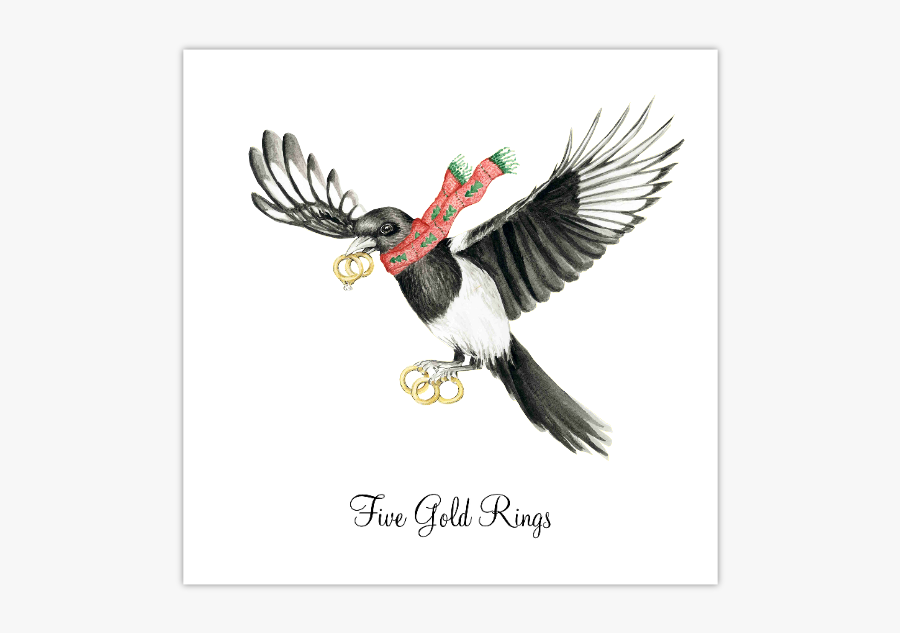 Transparent Four Calling Birds , Free Transparent Clipart - ClipartKey