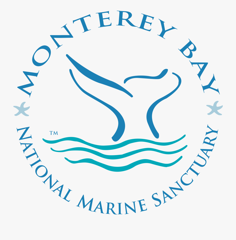 Monterey Bay Logo Png Transparent - Monterey Bay Logo Png , Free ...