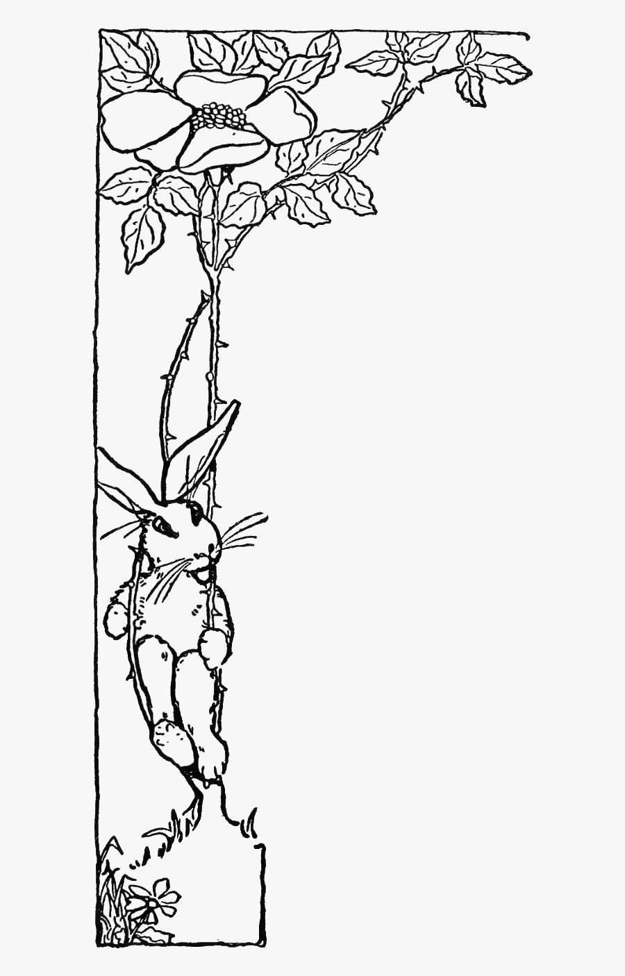 Peter Rabbit Border , Free Transparent Clipart - ClipartKey