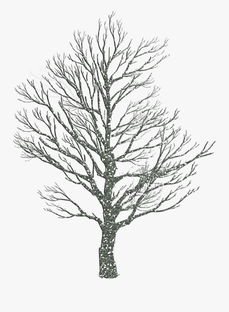 How To Draw A Tree - Sad Lonely Tree , Free Transparent Clipart ...