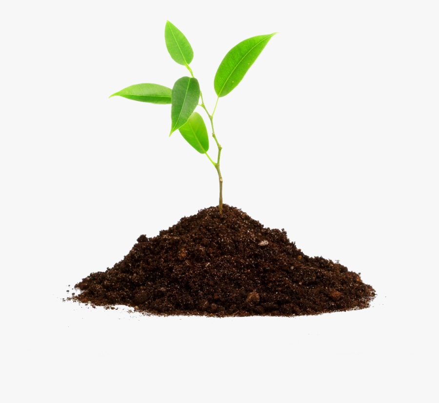 Transparent Planting Trees Clipart - Soil Gif Transparent Background ...