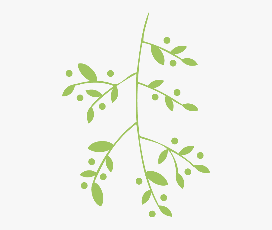 Herbal Vector Png , Free Transparent Clipart - ClipartKey