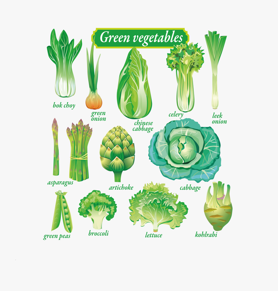 Clipart Green Vegetables , Free Transparent Clipart - ClipartKey
