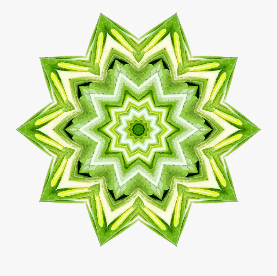 Flower,leaf,symmetry - Illustration , Free Transparent Clipart - ClipartKey