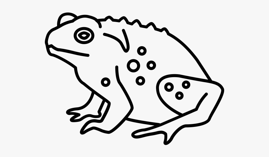 Rubber Stamps Stampmore Page - Draw A Cane Toad , Free Transparent ...