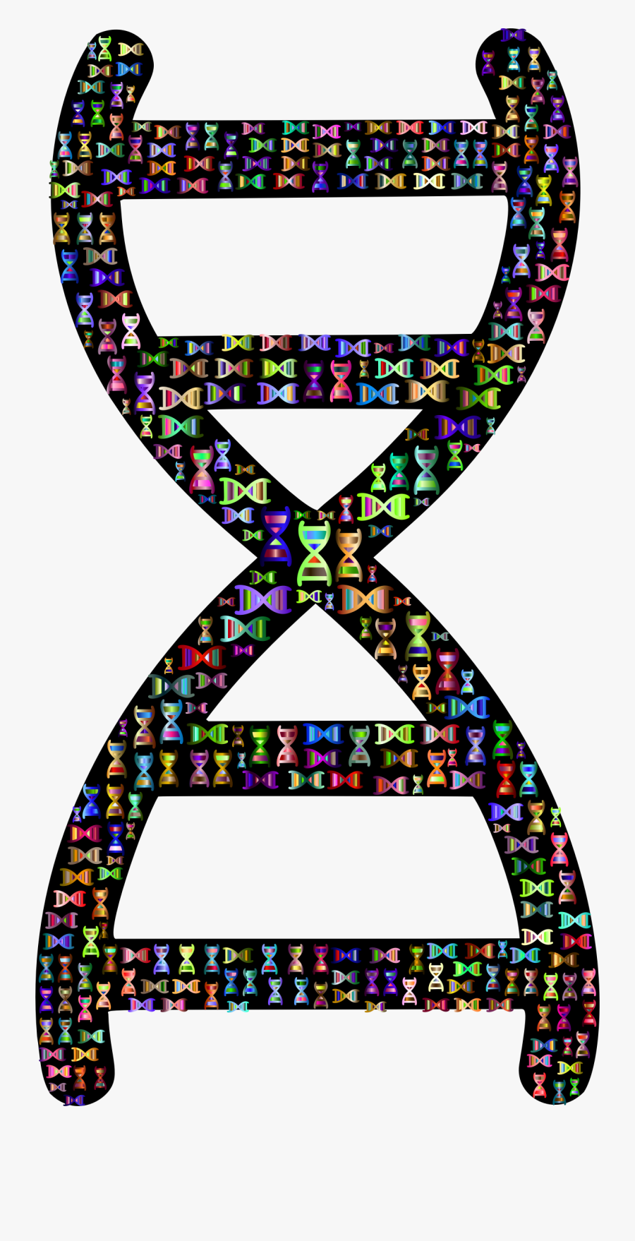 Clipart - Dna Clip Art Png , Free Transparent Clipart - ClipartKey