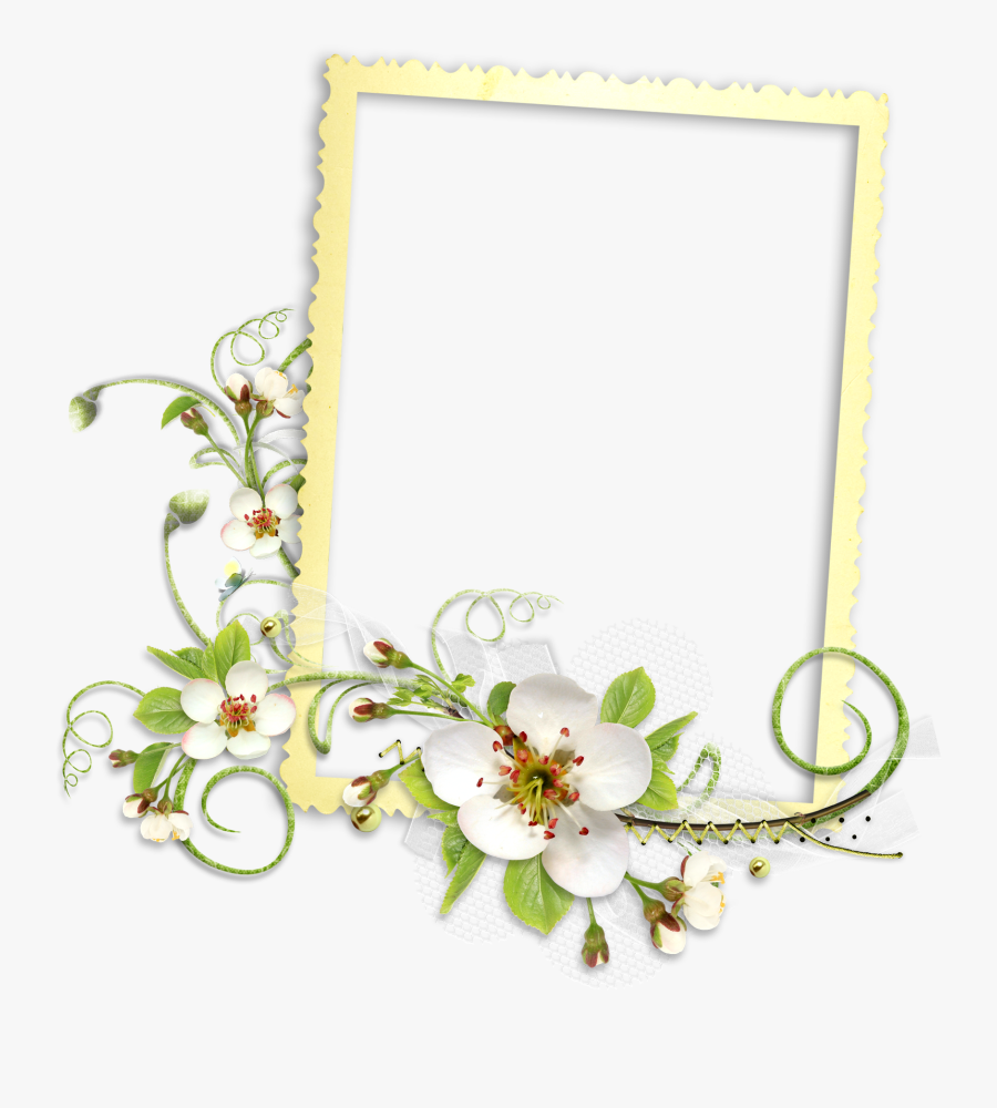 Cornici Png , Free Transparent Clipart - ClipartKey