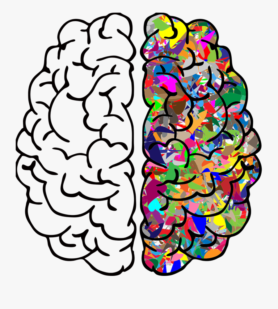 Left Brain Vs Right Brain Png , Free Transparent Clipart - ClipartKey