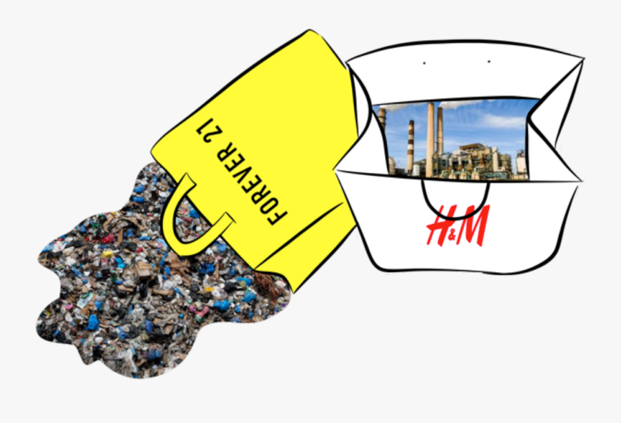 Thumbnail - Cartoon , Free Transparent Clipart - ClipartKey