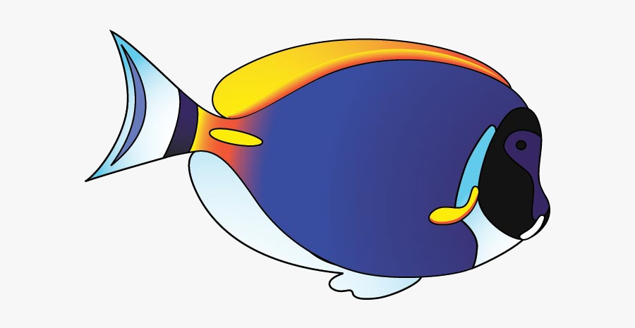 Fish X Ray Clipart At Free For Personal Use Transparent - Clip Art ...