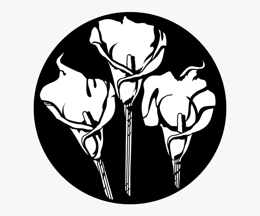 Calla Lily Trio - Clip Art , Free Transparent Clipart - ClipartKey