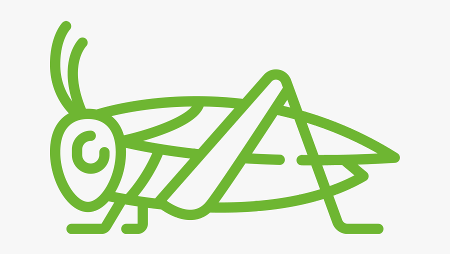 Cricket Bug Icon , Free Transparent Clipart - ClipartKey