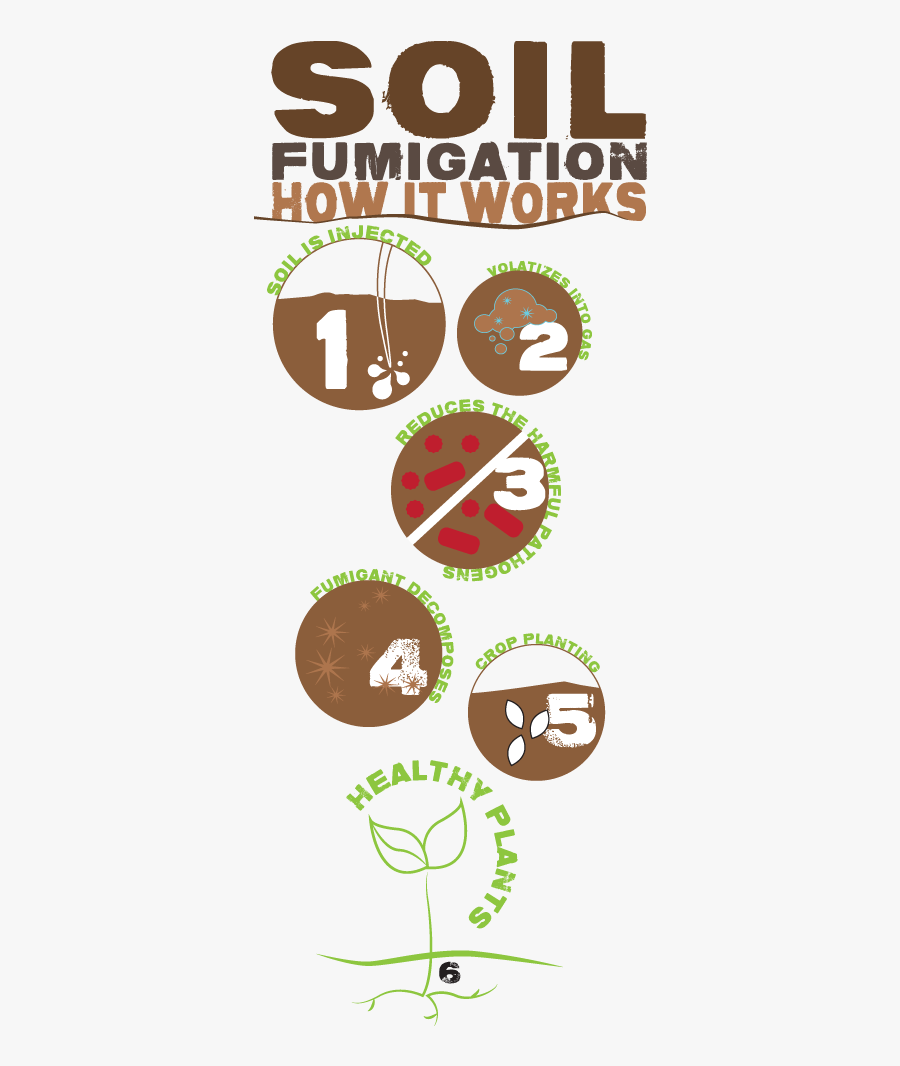 A Basic Overview Of How Fumigation Conditions The Soil , Free ...