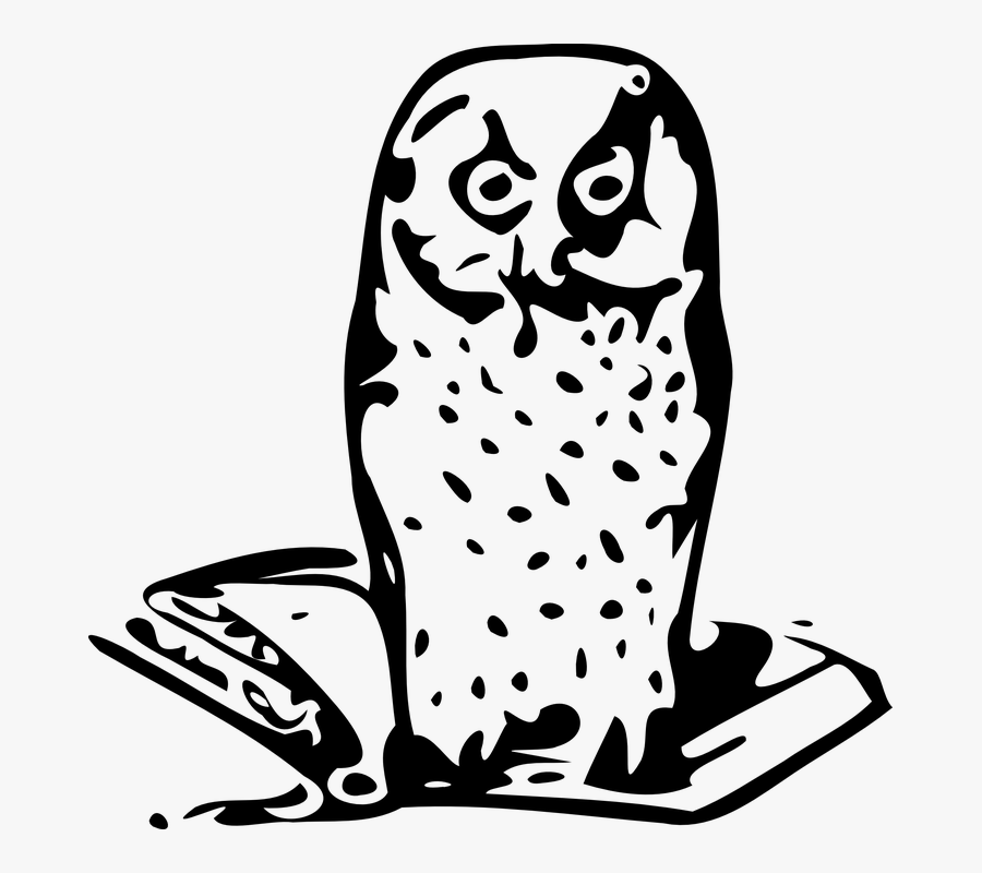 Buho Sabiduria Png , Free Transparent Clipart - ClipartKey