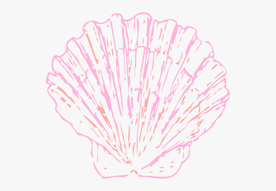 Pink Seashell Clip Art , Free Transparent Clipart - ClipartKey