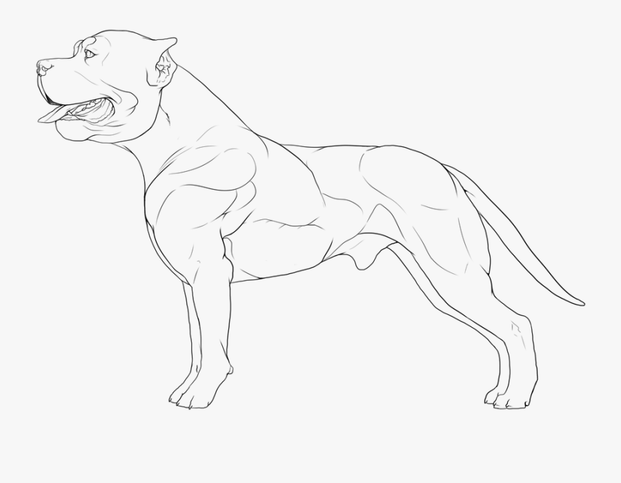 Lineart Of A Bully - Line Art , Free Transparent Clipart - ClipartKey