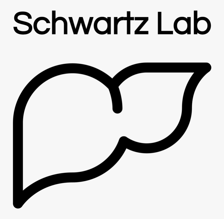 Black Lab Clip Art , Free Transparent Clipart - ClipartKey