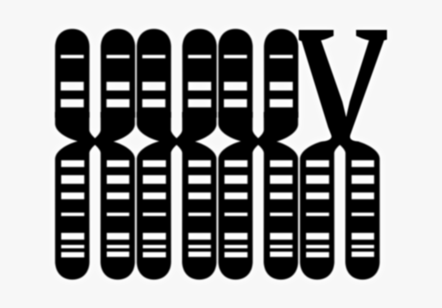 The Visger Lab Logo , Free Transparent Clipart - ClipartKey