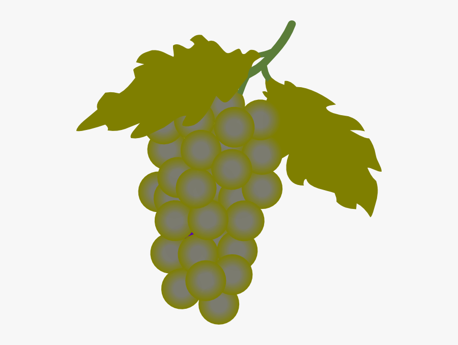 Bunch Of Grapes Clipart , Free Transparent Clipart - ClipartKey