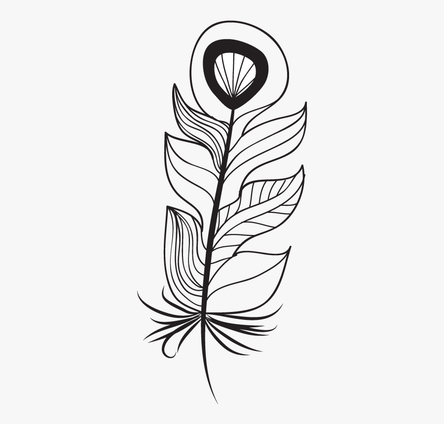 Feather - Line Art , Free Transparent Clipart - ClipartKey