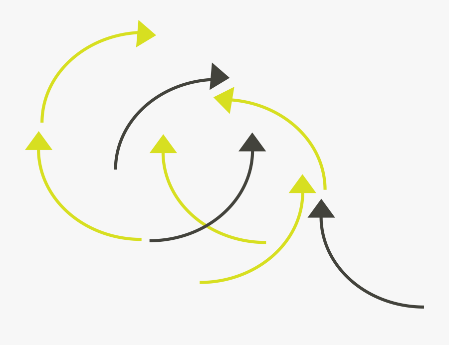 Transparent Food Web , Free Transparent Clipart - ClipartKey
