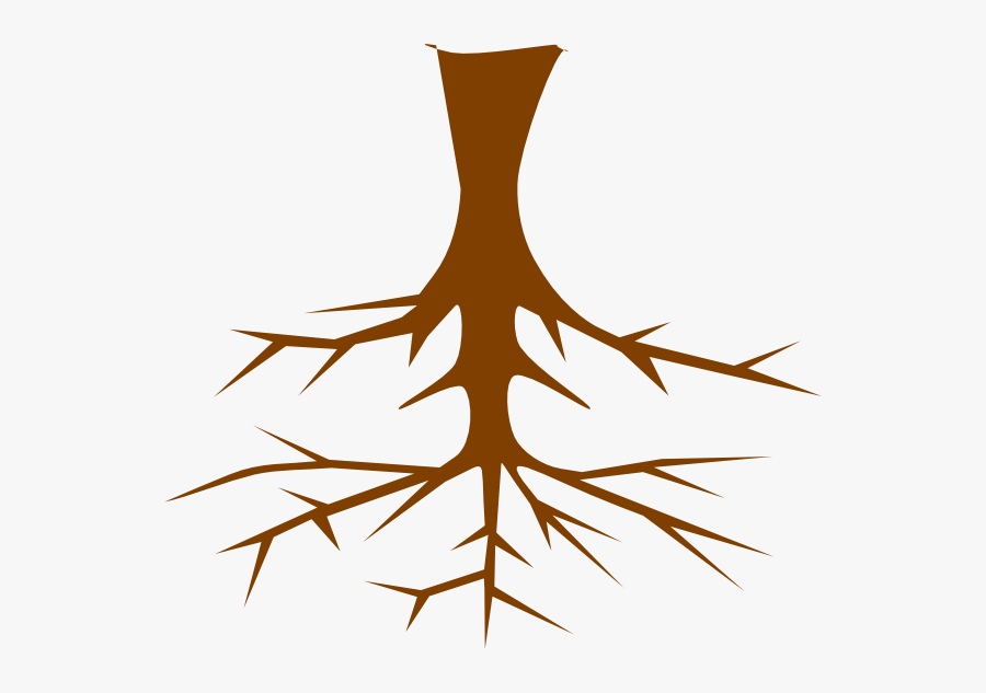 Roots Clipart , Free Transparent Clipart - ClipartKey